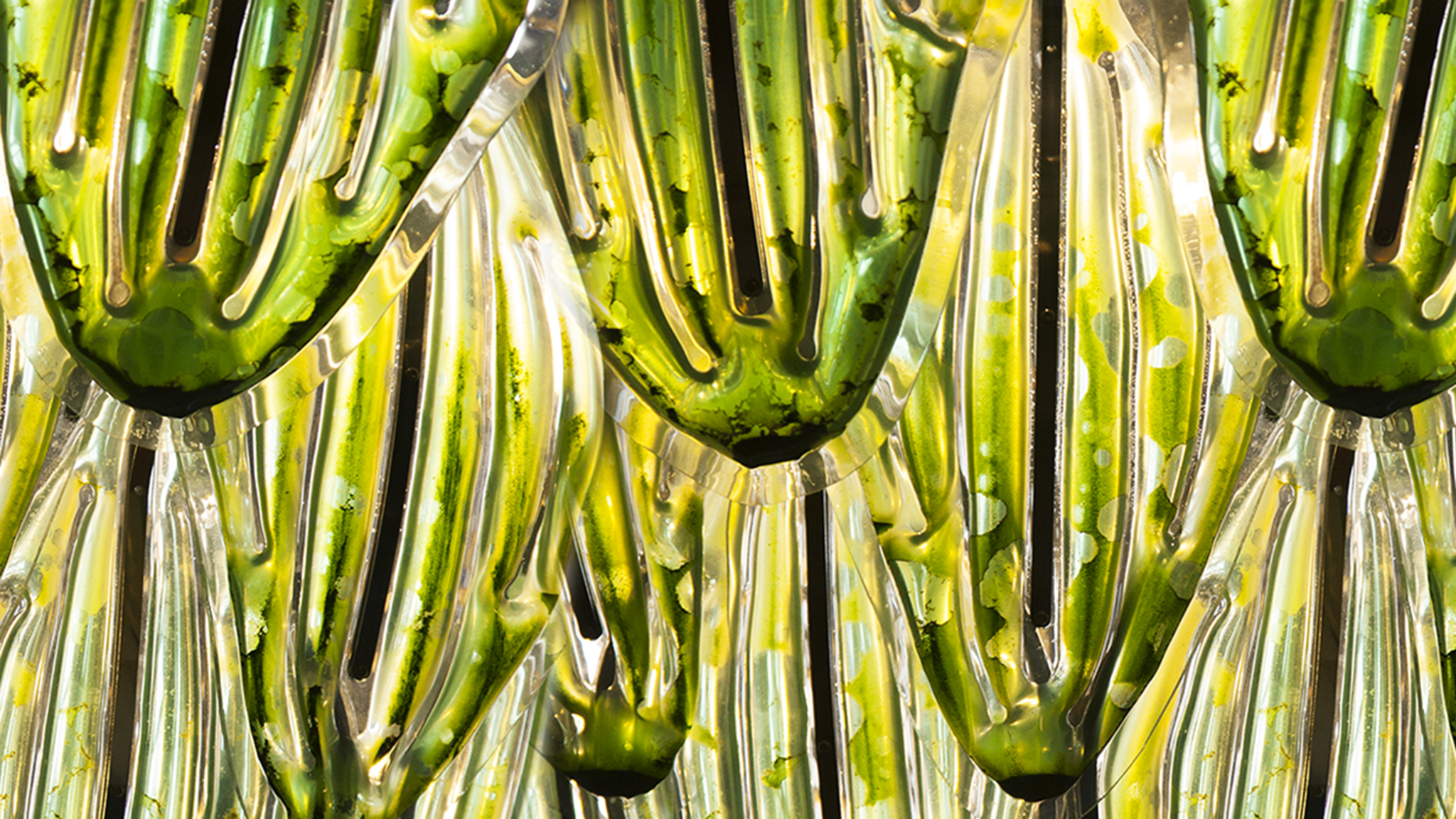 Breathing chandeliers and algae sculptures: bionic art comes to the V&A