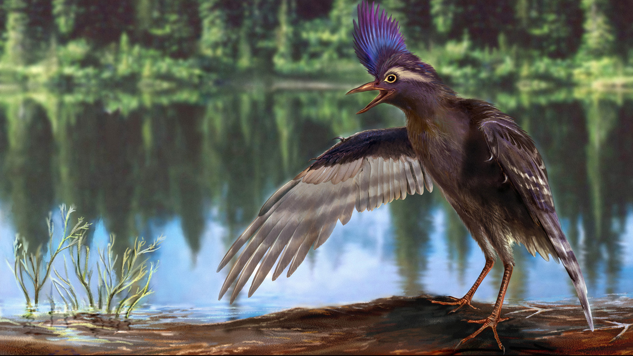 Sinornis