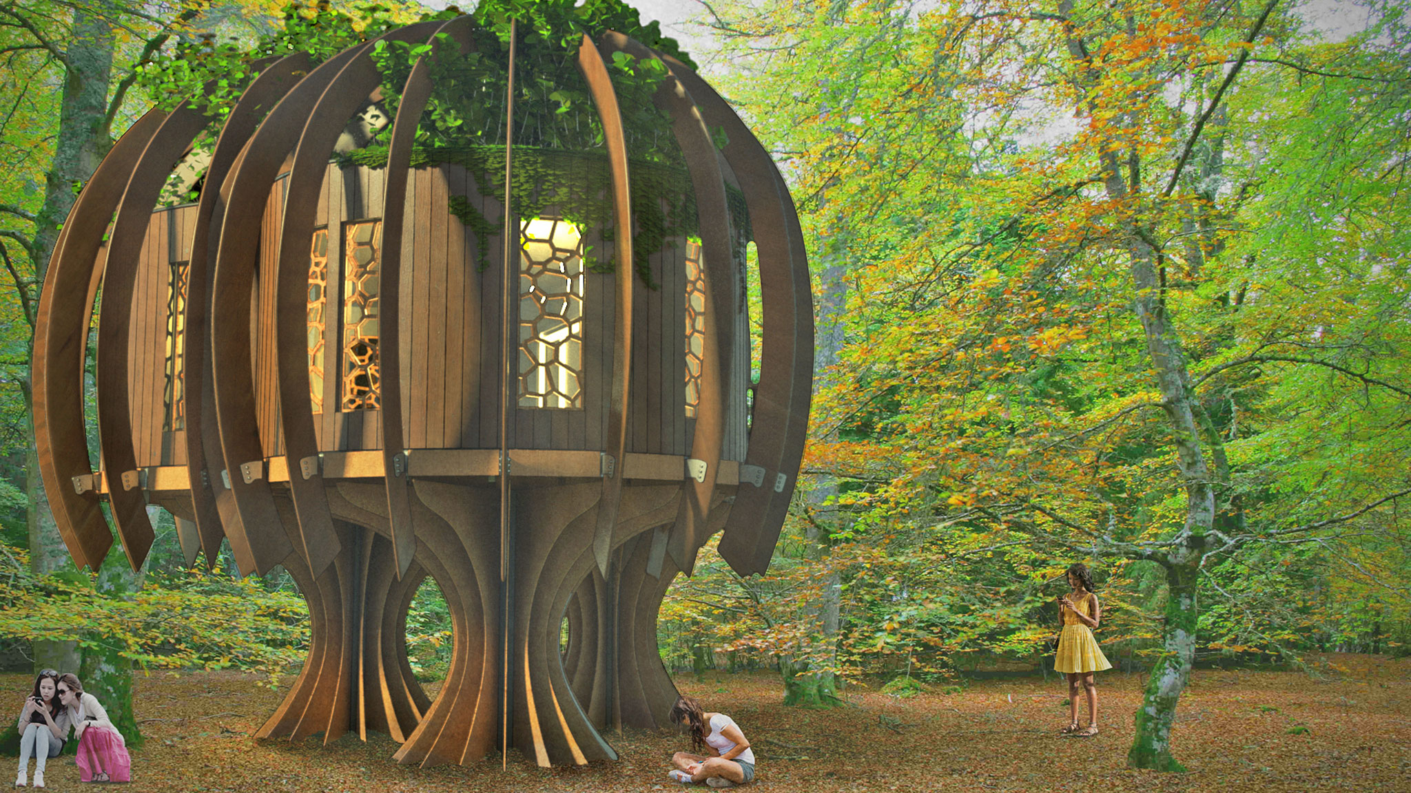 Treehouses branch out: the latest high-end treetop retreats