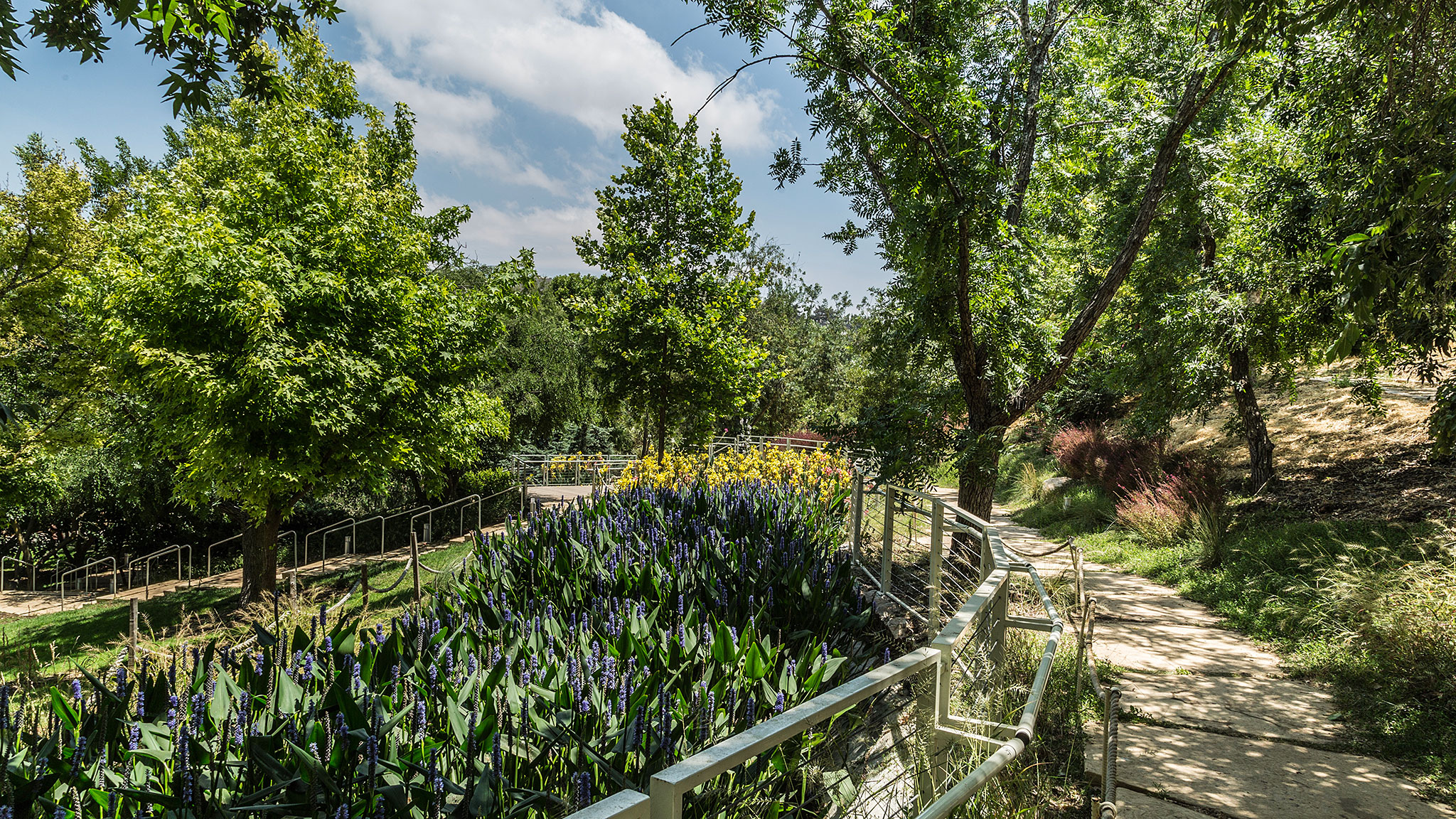 Jerusalem Botanical Garden: an oasis of peace in a troubled city
