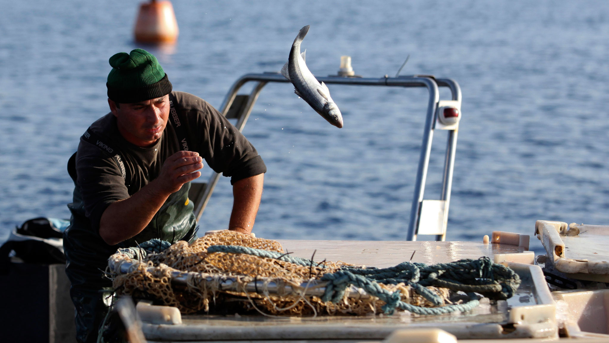 EU agrees to end decades of overfishing
