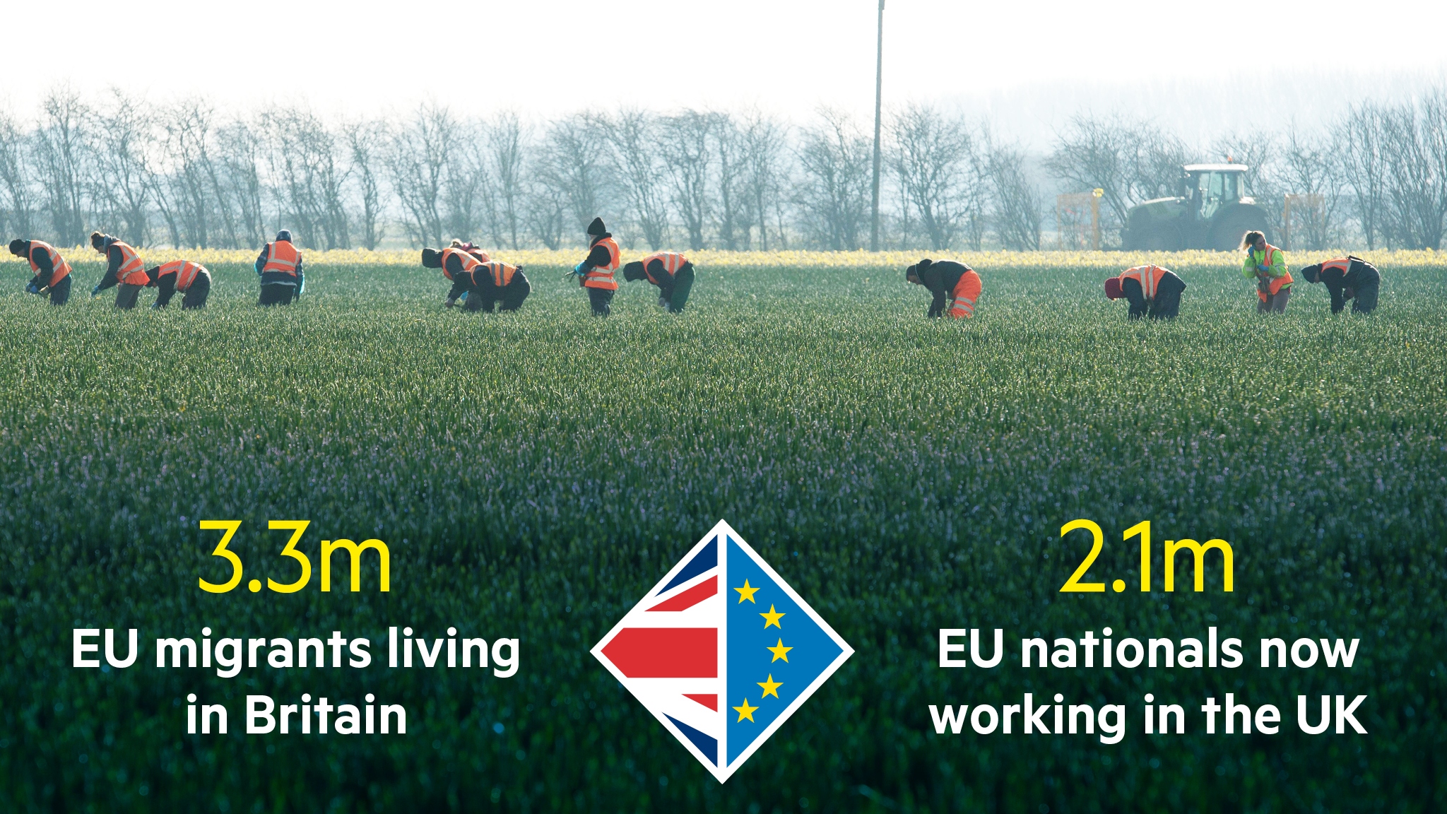 Brexit and immigration — the vital questions