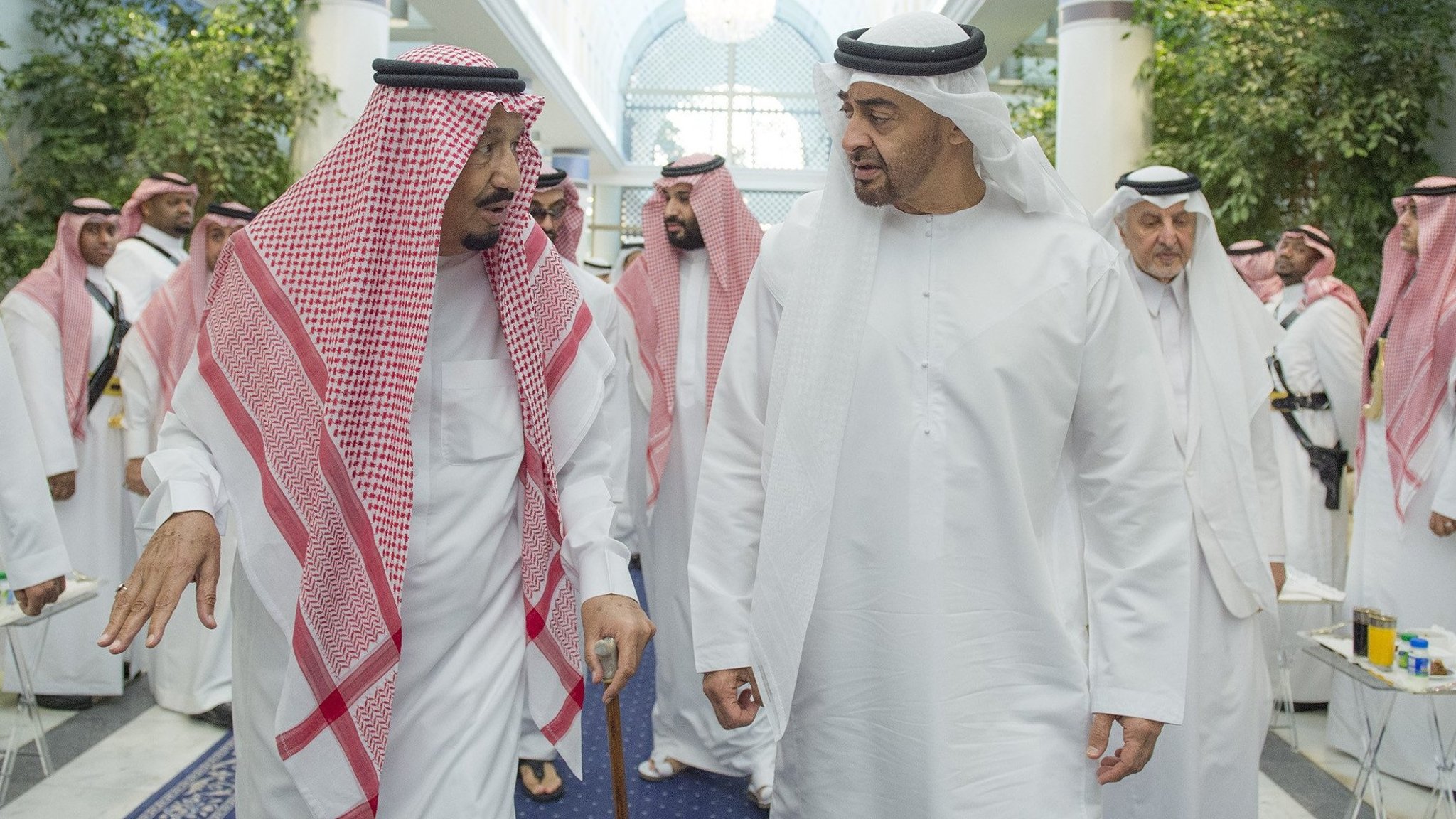 UAE and Saudi Arabia forge economic and military alliance