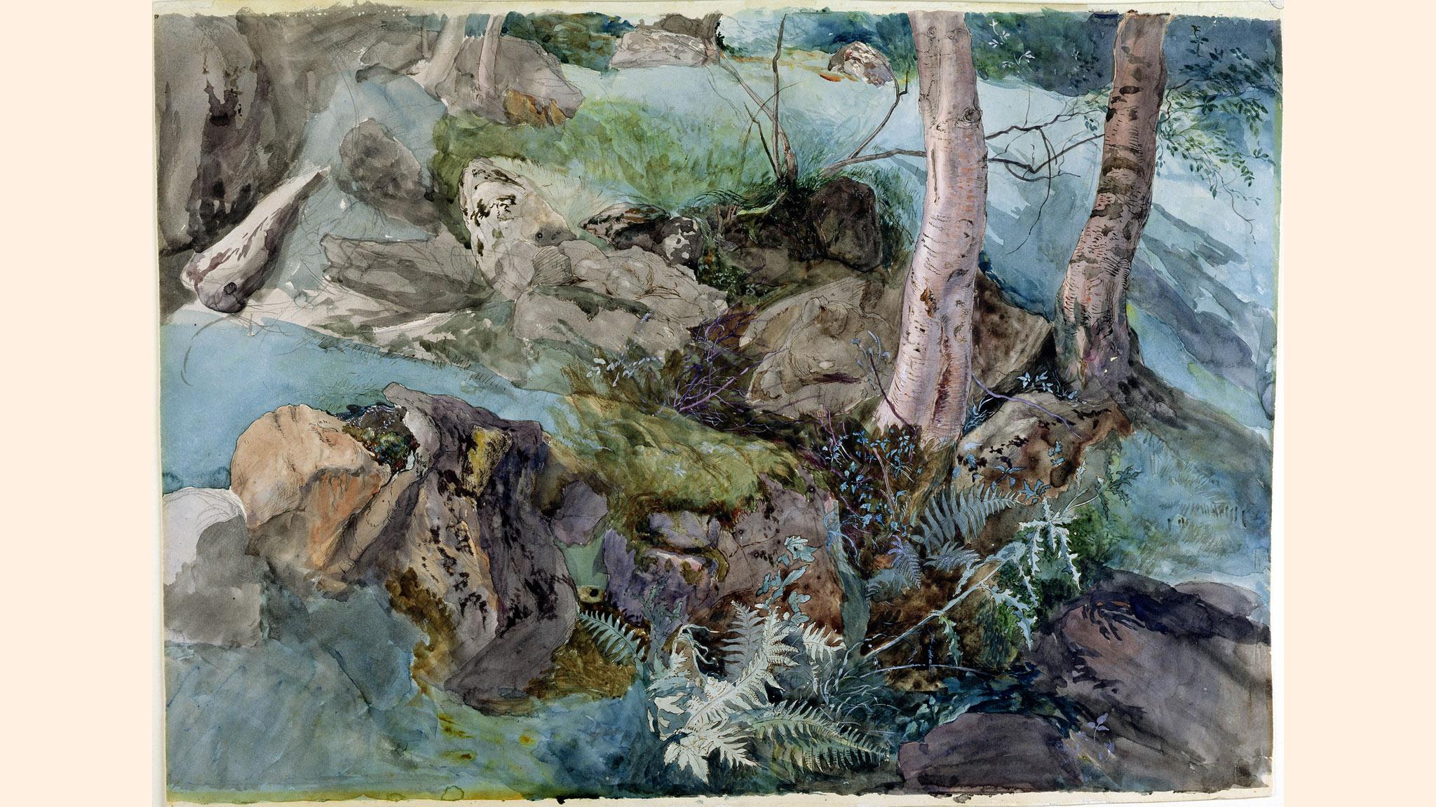 John Ruskin: Artist and Observer, Scottish National Portrait Gallery ...