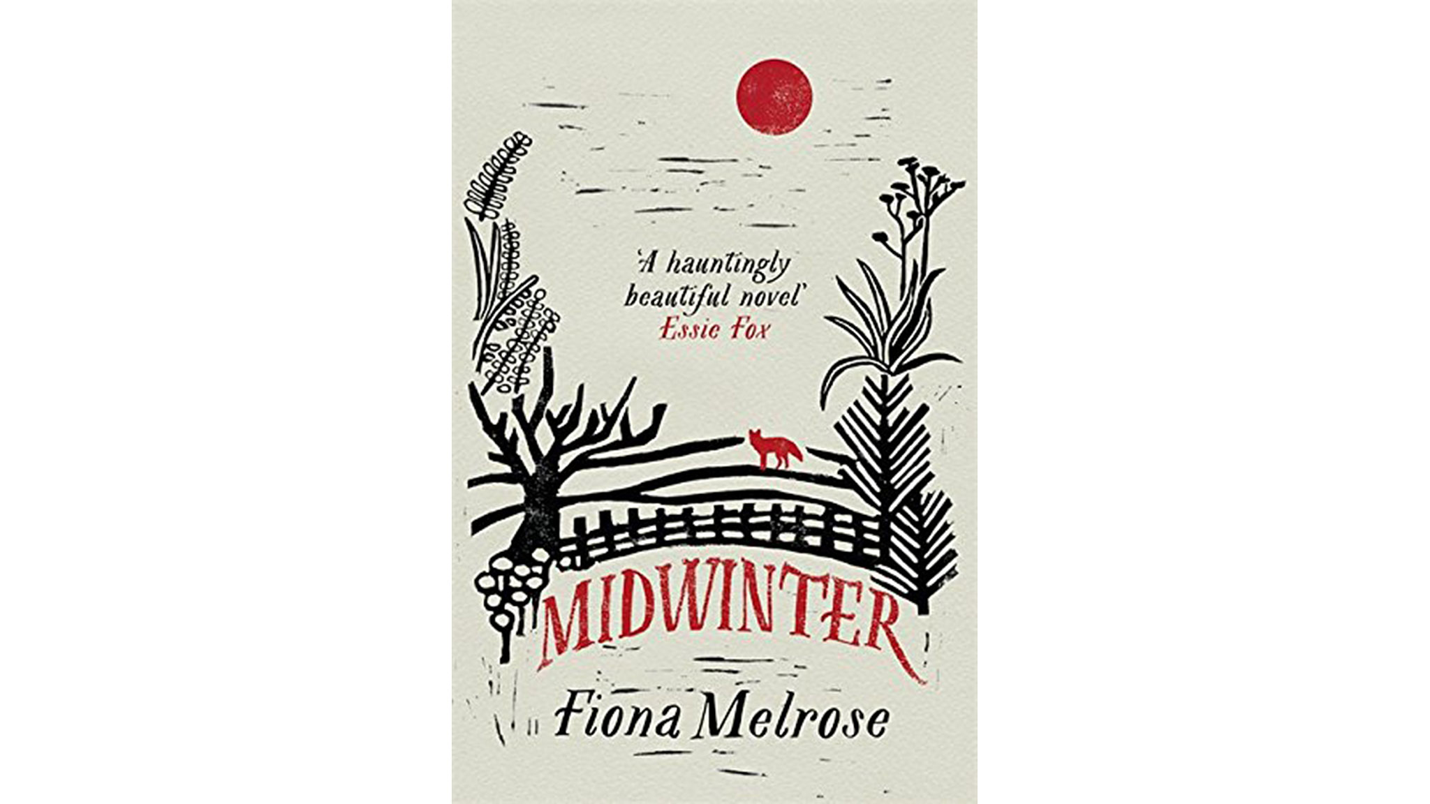 Midwinter by Fiona Melrose review — the cruelty of chance