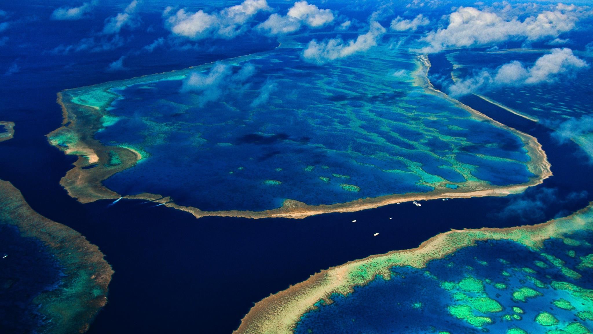 Great Barrier Reef: Battle under the sea