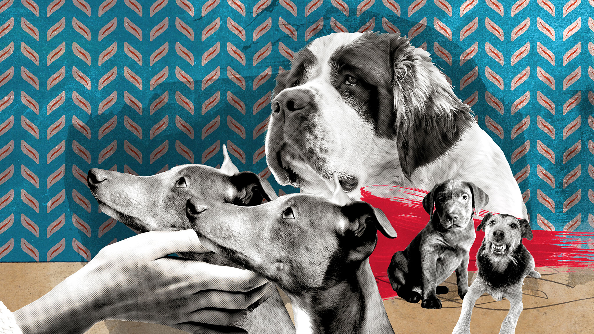 How to respond to the dreaded dog question